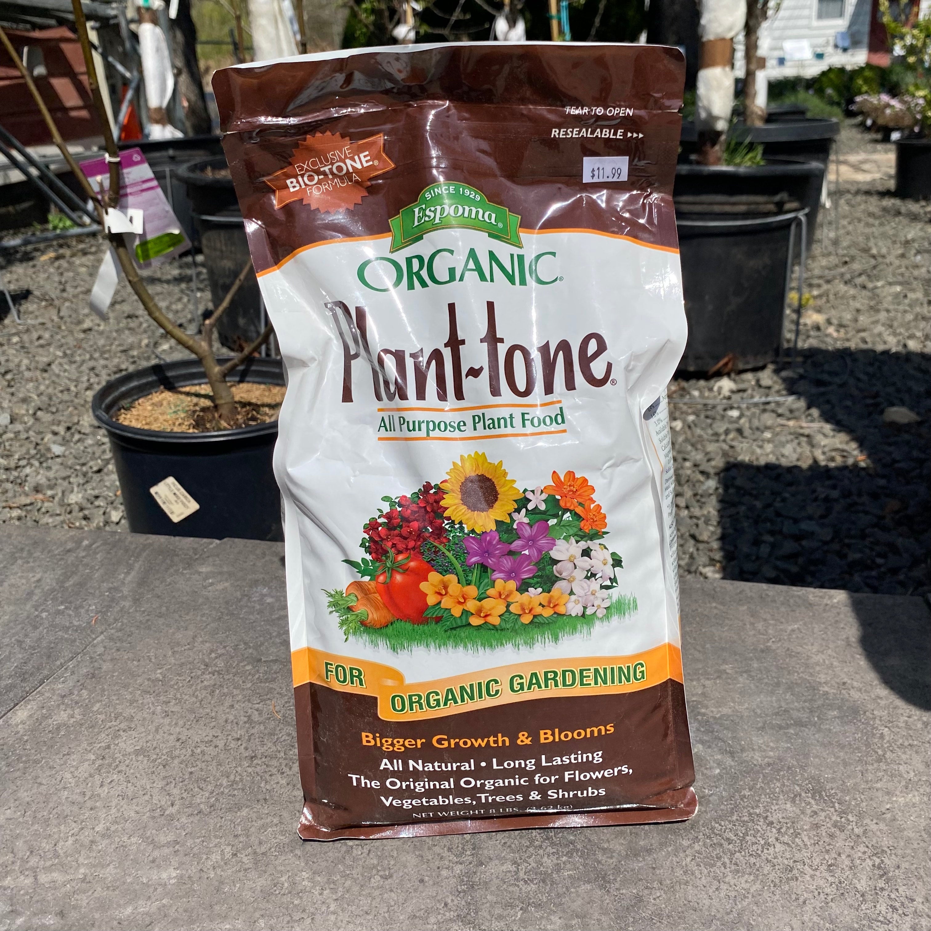 Plant-Tone - 8 lb Espoma | C.D.S. Nursery & Landscaping